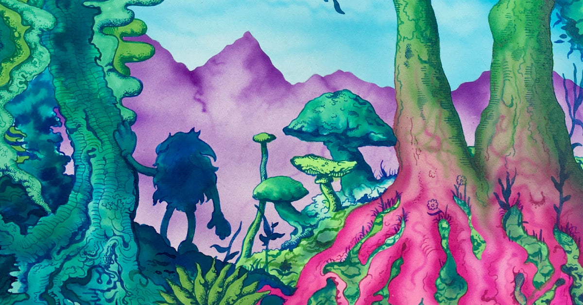 Home page – Talking Terps