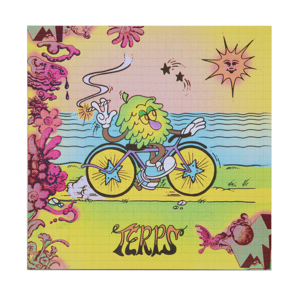 Terps Bicycle Blotter Print – Talking Terps