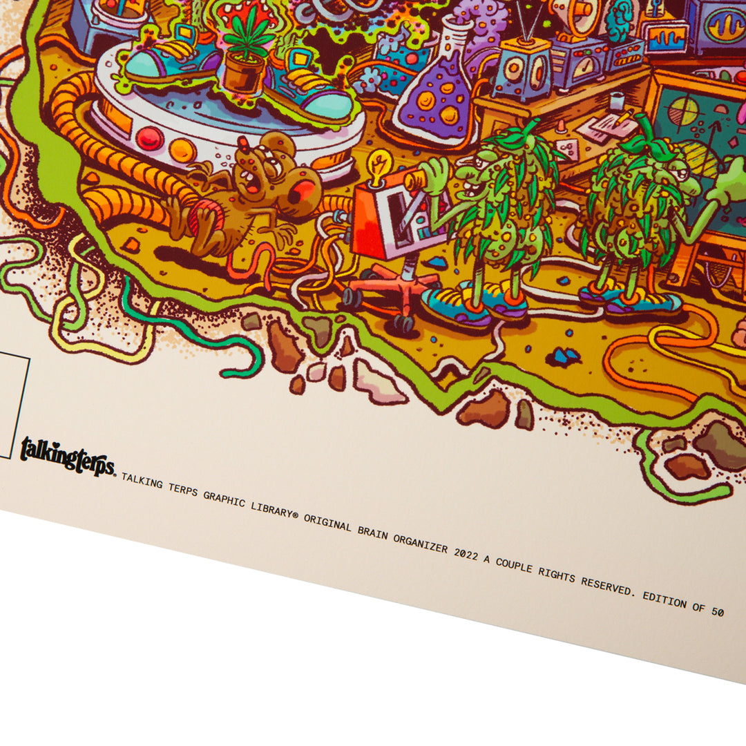 'Brain Organizer' Print – Talking Terps
